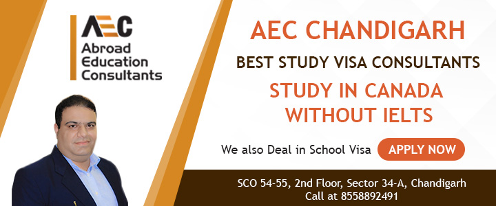 5 BEST IMMIGRATION CONSULTANTS IN CHANDIGARH 5 BEST IMMIGRATION CONSULTANTS IN CHANDIGARH